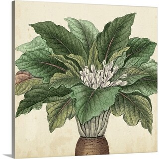 "Garden Bounty V" Canvas Wall Art - Bed Bath & Beyond - 30175018