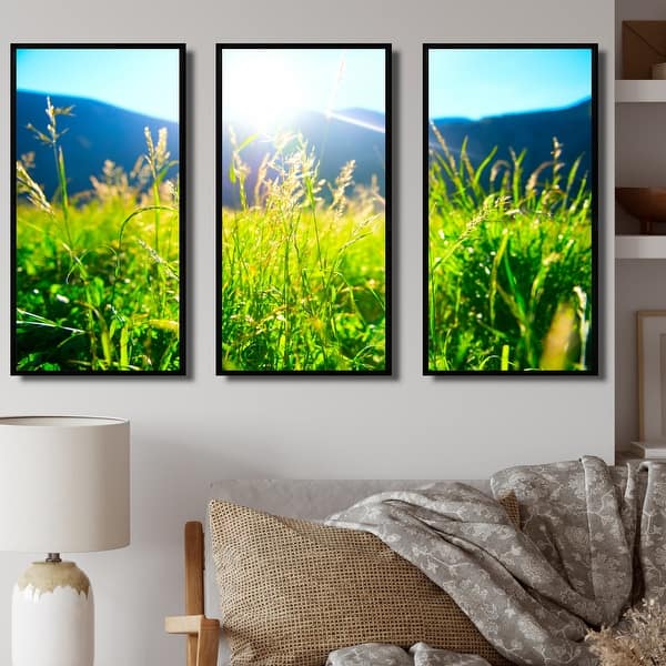 nature art frames