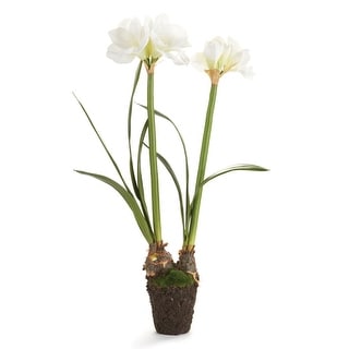 37" Alabaster White Bare Root Artificial Silk Double Amaryllis Plant ...