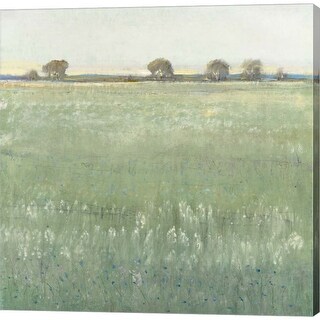 Timothy O'Toole 'Green Meadow I' Canvas Art - Bed Bath & Beyond - 31596043