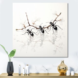 Designart "Minimalism Working Ants I" Insects & Bugs Black Wall Decor ...