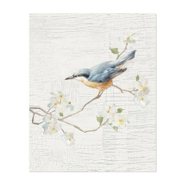 Nuthatch Vintage v2 Illustrations Animals Birds Art Print/Poster - Bed ...