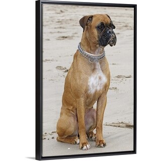 "Boxer sitting at the beach" Black Float Frame Canvas Art - Bed Bath ...