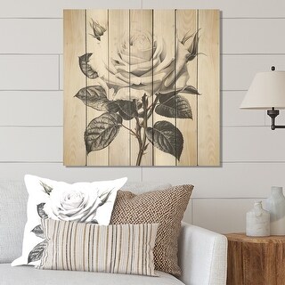 Designart "Monochrome Pencil Drawing Rose" Rose Wood Wall Art ...