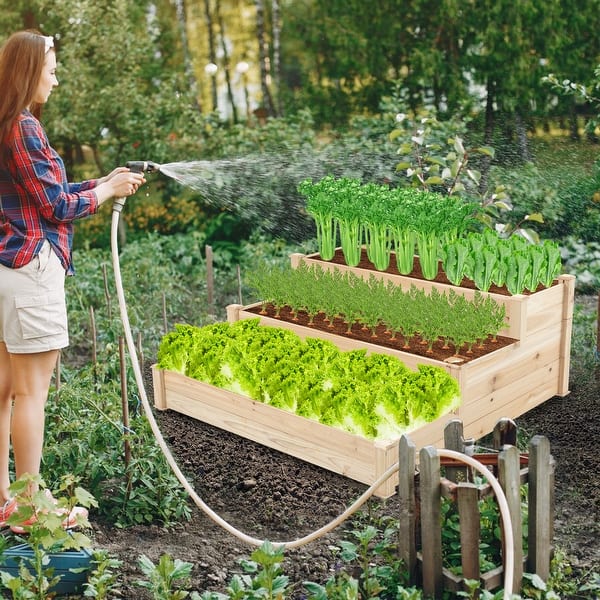 garden vegetable boxes