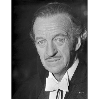 A Portrait Of David Niven Photo Print - Bed Bath & Beyond - 25397847