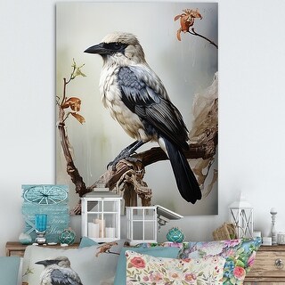 Designart "Bird Feathered Contemplation" Animals Bird Wall Art Prints ...