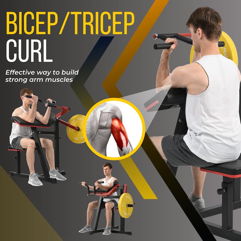 Bicep Tricep Curl Machine with Adjustable Seat, Bicep Curls and Tricep Extension Machine Home ...