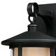 Westinghouse Albright One-Light Outdoor Medium Wall Lantern, Textured ...