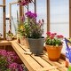 Backyard Discovery Savannah Chalet-Style 14.5' x 12' Cedar Greenhouse ...