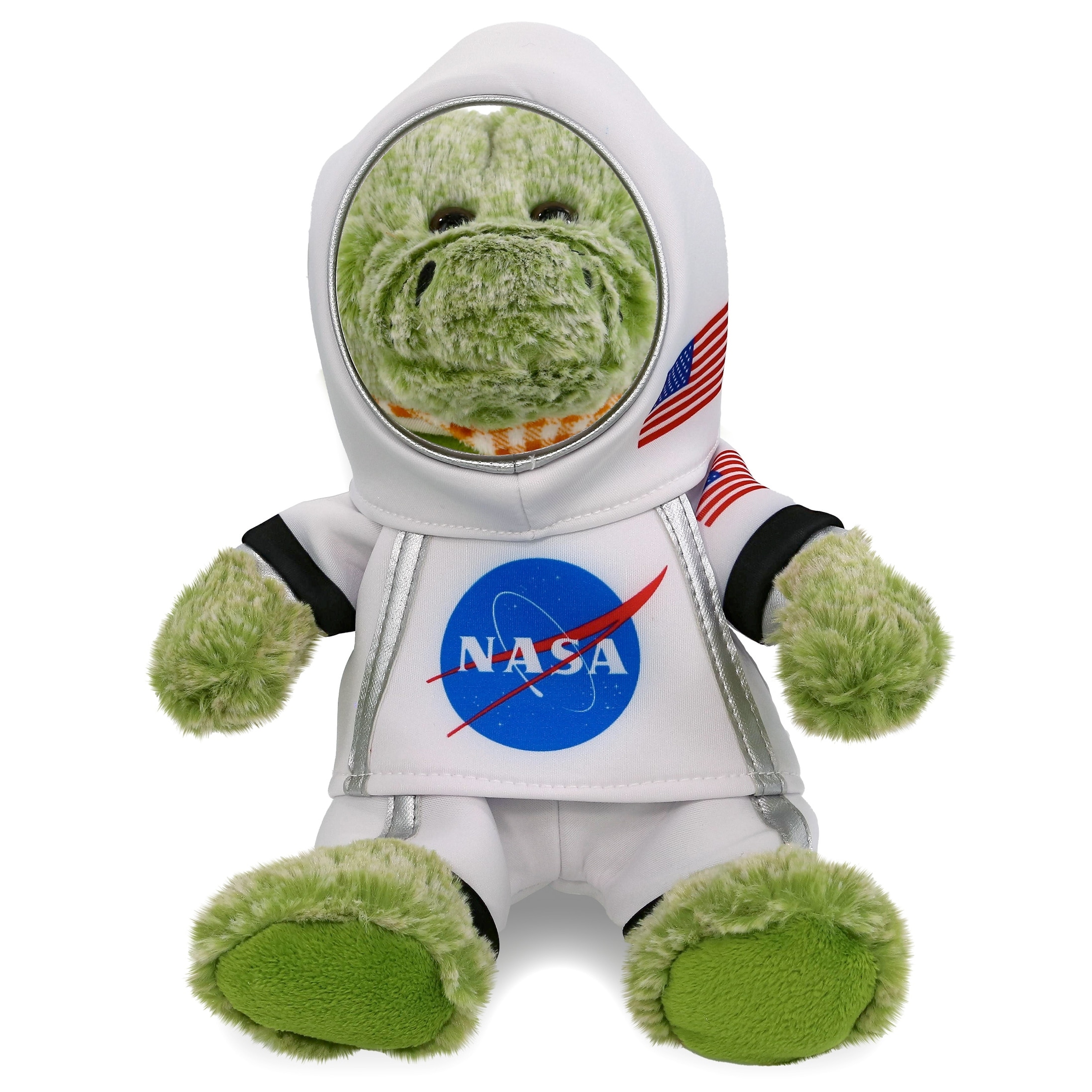 nasa aligators