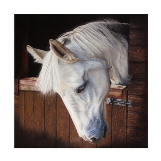 Steve Crockett 'Out Of The Darkness' Canvas Art - Bed Bath & Beyond ...