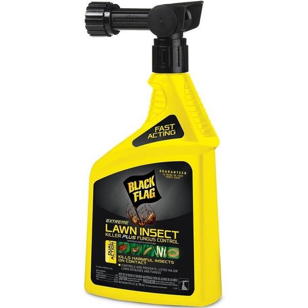 Black Flag HG-11111 Ready-to-Spray Extreme Lawn Insect Killer Plus ...