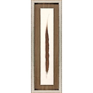 Pheasant Feather Framed Art Mixed Media Shadow Box Under Glass - Brown ...