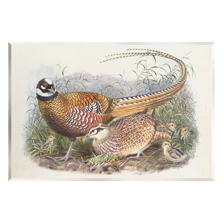 Stupell Pheasant Family in Nature Wall Plaque Art Design By Wild Apple ...