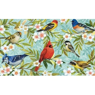 Bird Collage 18x30 Colorful Floor Mat - Bed Bath & Beyond - 39406643