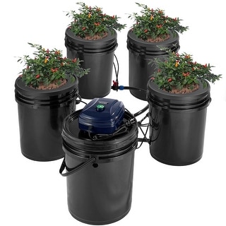 RDWC Hydroponics Grow System, Hydroponic Growing Kit with Top Drip ...