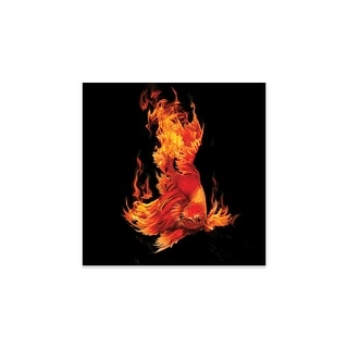 Fighting Fishon Fire Print On Acrylic Glass by David Loblaw - Bed Bath ...