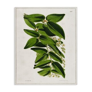 Stupell Stacked Leaves Botanical Canvas Wall Art Design By Tina Higgins ...