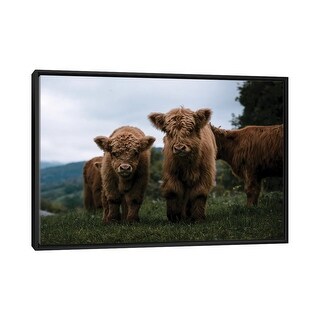 iCanvas "Wooly Cow Babies Playing" by Michael Schauer Framed Canvas ...