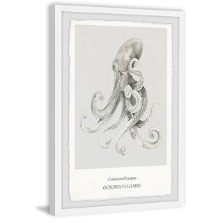 'Octopus Vulgaris' Framed Painting Print - Bed Bath & Beyond - 36273043