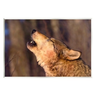 Stupell Howling Wolf Photography Wall Plaque Art Design by Lisa Dearing ...