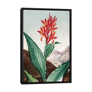 iCanvas "Indian Reed" by Peter Charles Henderson Framed - Bed Bath ...