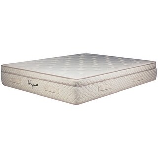 Organa Luxury 12 in. Euro Top Latex Pocket Spring Hybrid Mattress - Bed ...