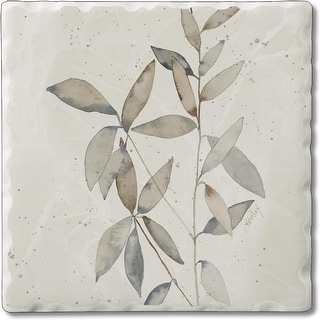 Absorbent Stone Tumbled Tile Coasters, Neutral Botanicals I, Set of 4 ...