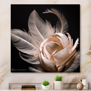 Designart "Pink Feather Rose On Black I" Floral Rose Canvas Wall Art ...