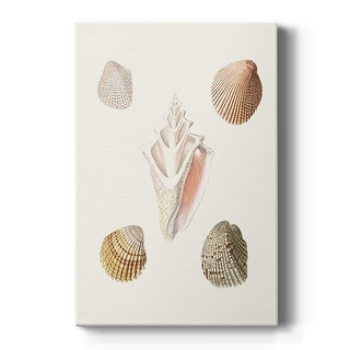 Pastel Knorr Shells IX Premium Gallery Wrapped Canvas - Ready to Hang ...