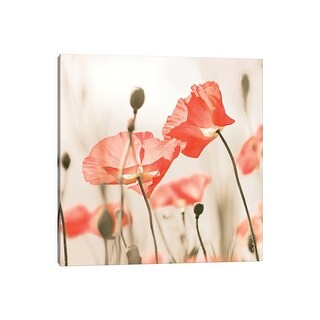 iCanvas "Poppy Flowers Peach Square" by Monika Strigel Canvas Print ...