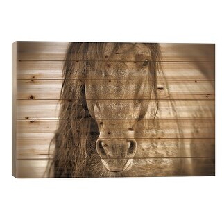 Mustang Sally Print On Wood by Lisa Dearing - Multi-Color - Bed Bath ...