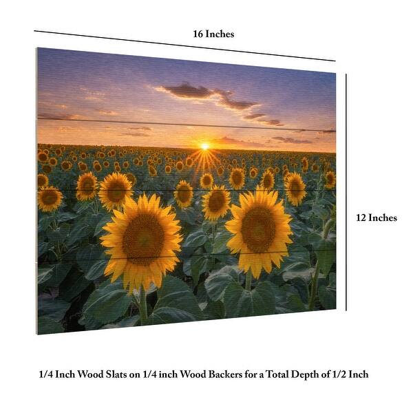 Darren White Photography 'Sunflowers at Sunset' Wood Slat Art - Bed ...