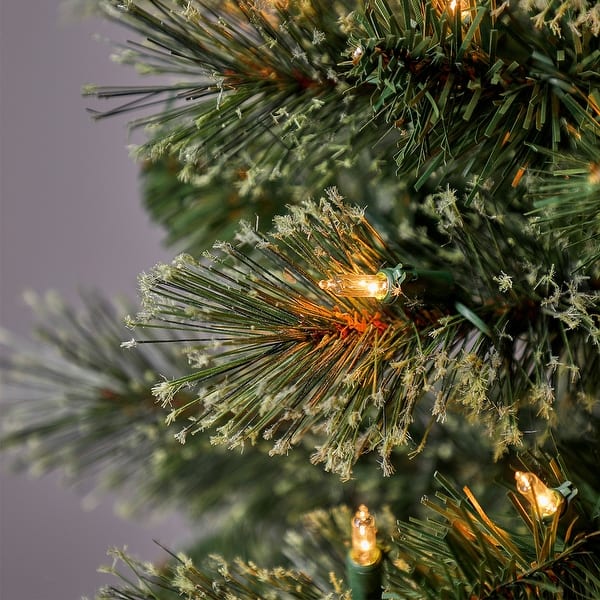 shortleaf pine christmas tree