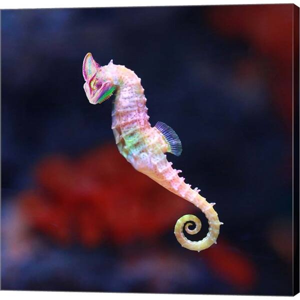 Pixelmated Animals 'Seameleon' Canvas Art - Bed Bath & Beyond - 36523127