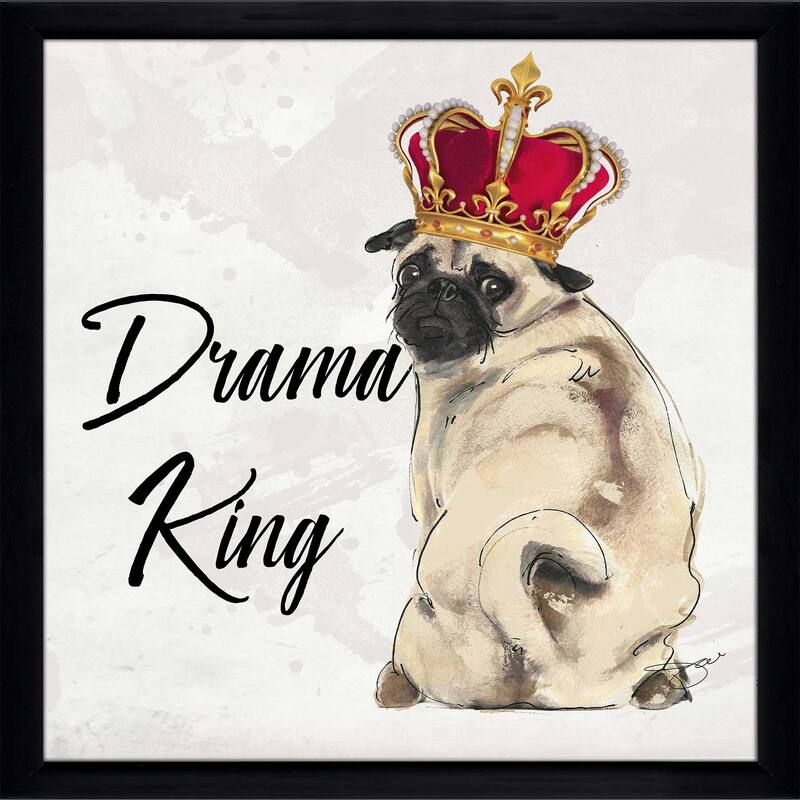 "Drama King Pug" by Jodi Print on Acrylic - Overstock - 36536773