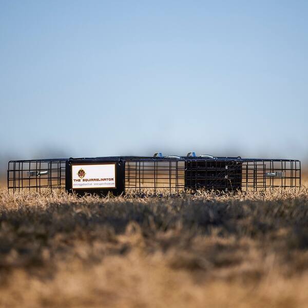 Rugged Ranch Squirrelinator Squirrel Chipmunk Metal 2 Door Trap Cage (4 Pack) - 24.5 x 24.5 x 5 ...