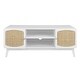 Boho Style TV Stand with Rattan Door, Media Console Table for TVs Up to ...