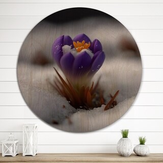 Designart "First Crocus Of Spring I" Floral Crocus Wood Wall Art ...