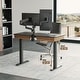 Eureka Ergonomic Home Office Electric Height Adjustable Standing Desk ...
