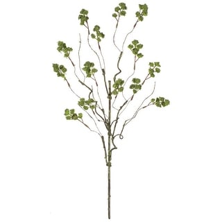 Sullivans Artificial Irish Moss Stem 21"H Green - 7"L x 7"W x 21"H ...