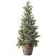 24-inch Potted Frosted Mini Spruce Trees (Set of 2) - On Sale - Bed ...