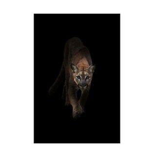 Incado 'Lion' Canvas Art - Bed Bath & Beyond - 39535241