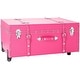 Texture® Brand Trunk - Cherry Pink by DormCo - Bed Bath & Beyond - 33237905