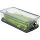 ProKeeper+ by Progressive Stackable Produce ProKeeper Storage Container ...