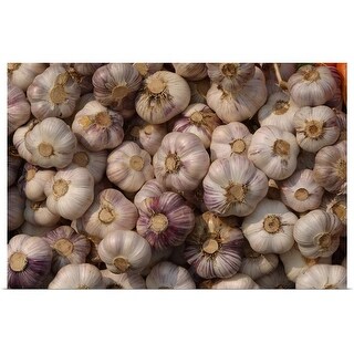 "Garlic bulbs" Poster Print - Multi - Bed Bath & Beyond - 21006666