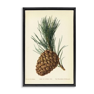 Stupell Detailed Pine Cone Sprig Framed Floater Canvas Wall Art Design ...