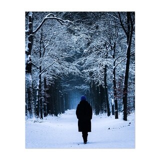A winter walk Photography Art Print/Poster - Bed Bath & Beyond - 34879828