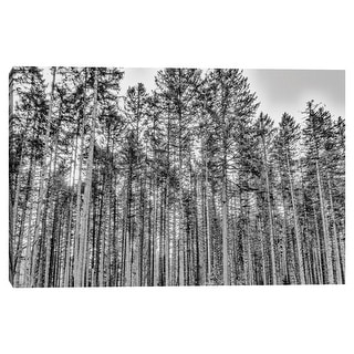 The Forest by Sossi Madzounian Canvas Art Print - Bed Bath & Beyond ...
